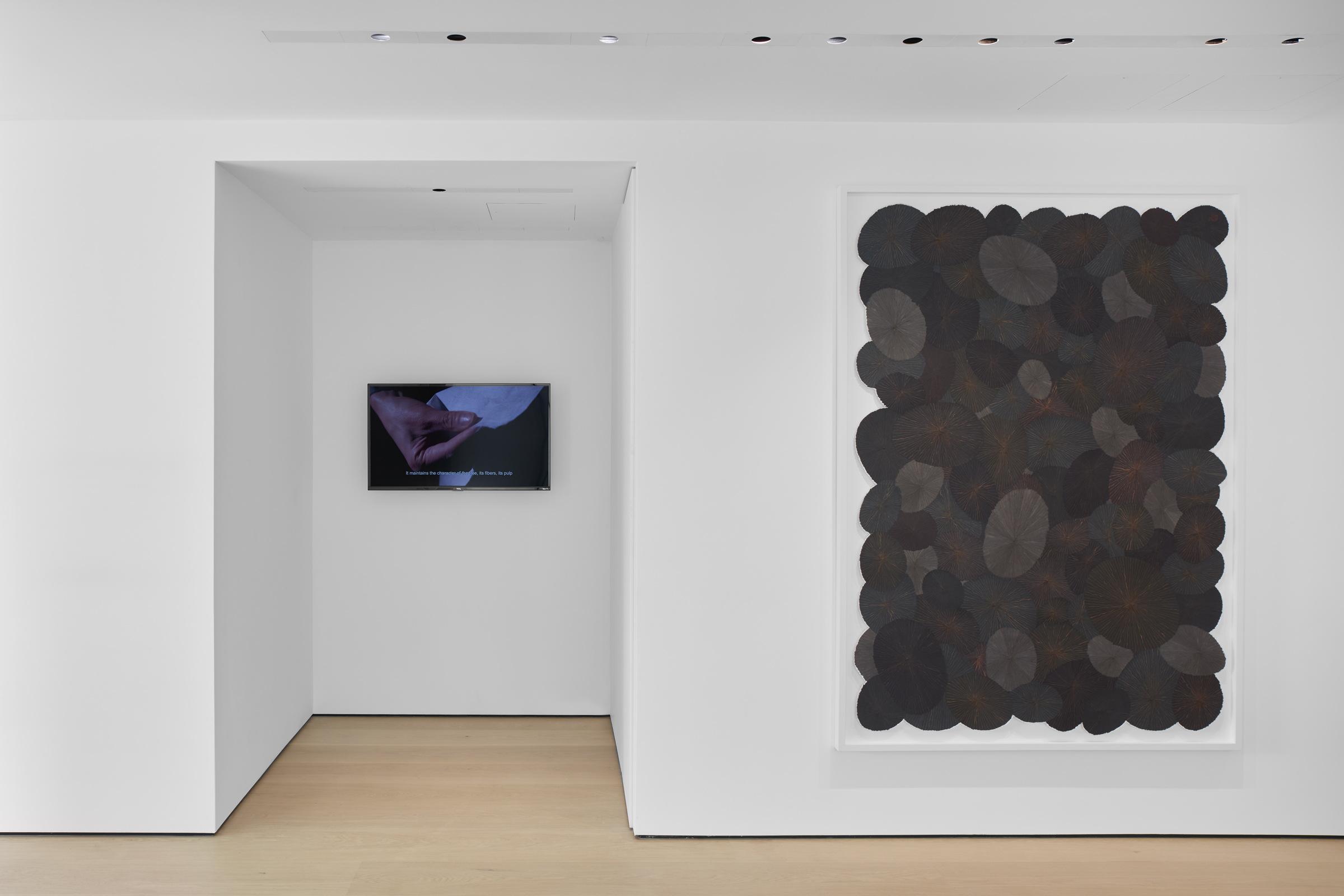 Minjung Kim – Hill Art Foundation