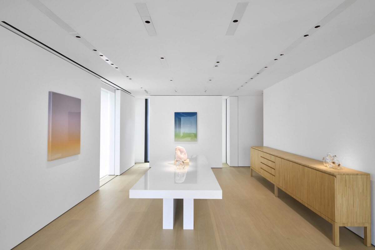 Mika Tajima: Super Natural – Hill Art Foundation