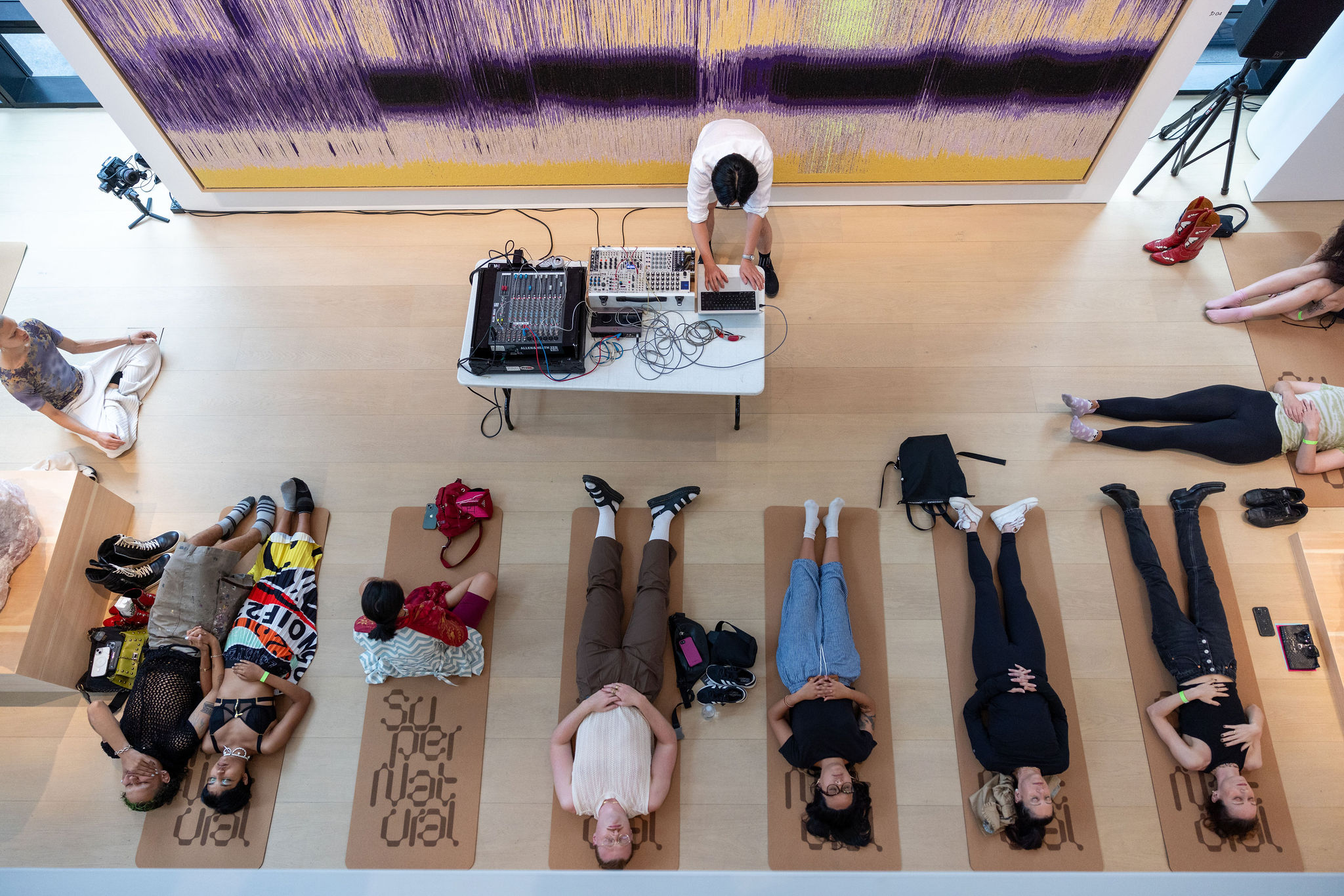 Mika Tajima: Super Natural – Hill Art Foundation