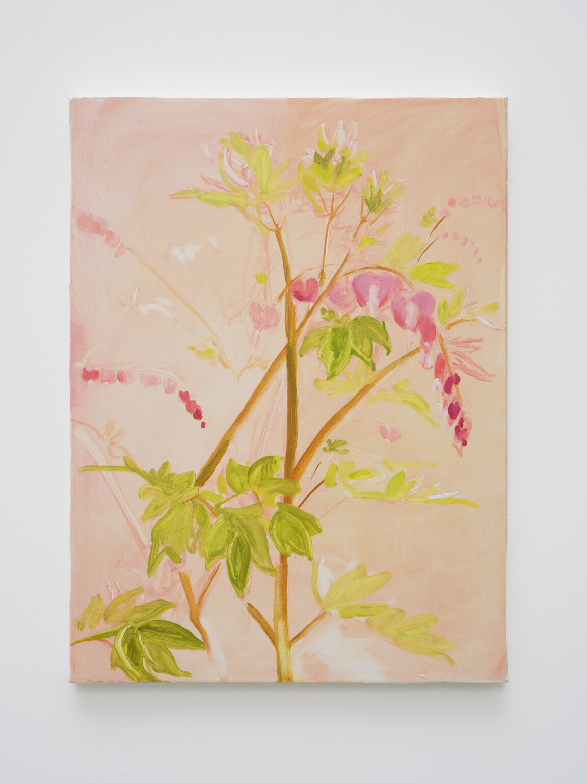 Jordan Casteel – Hill Art Foundation