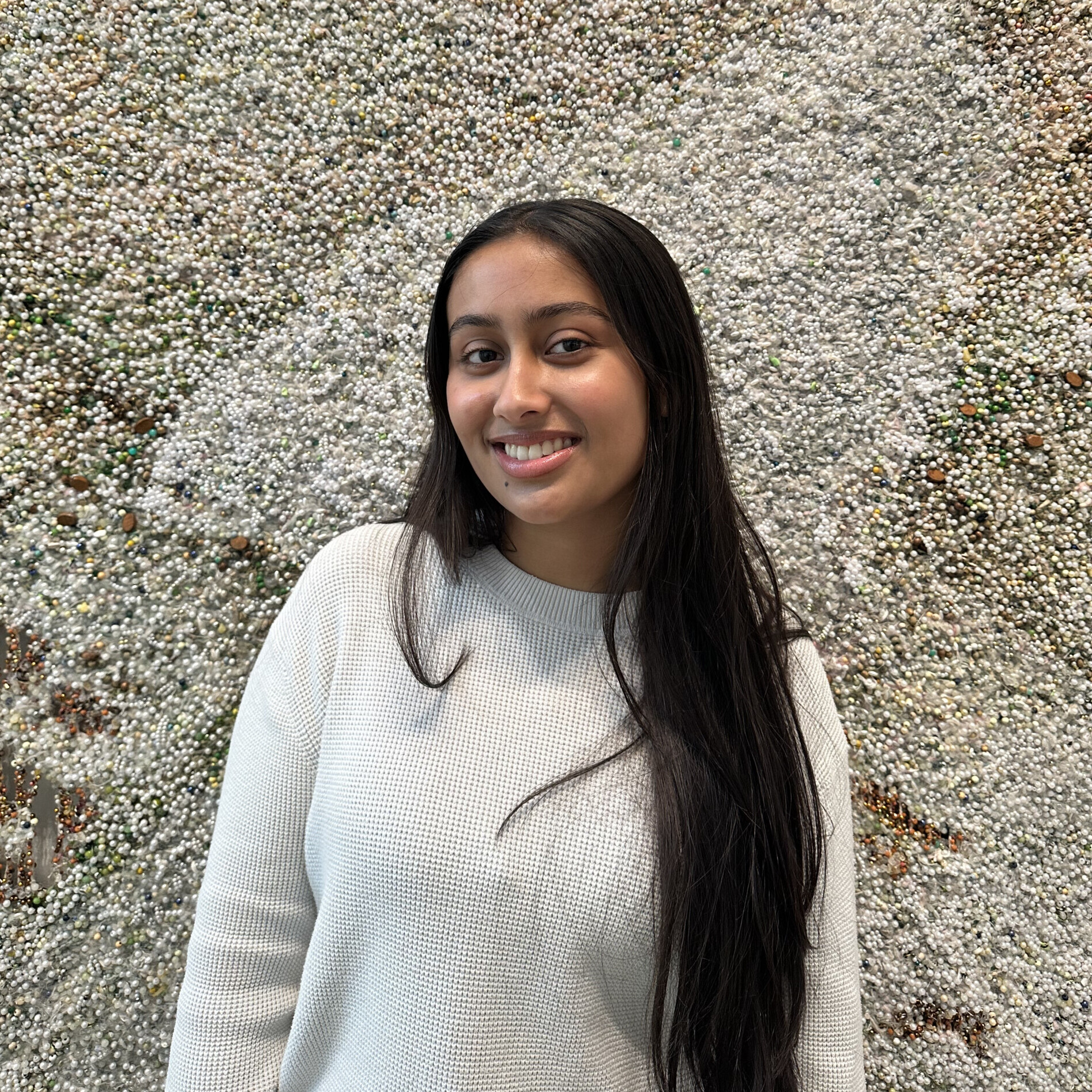 Ariya Mukherjee Gandhi – Hill Art Foundation